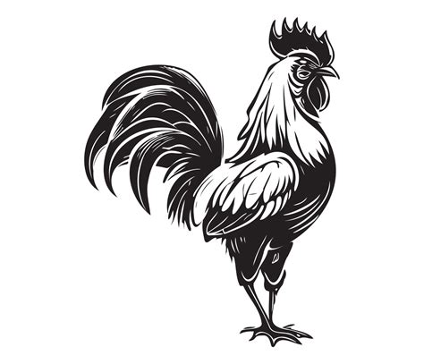 Chicken Cock Rooster Chickens Roosters Farm Animal Illustration