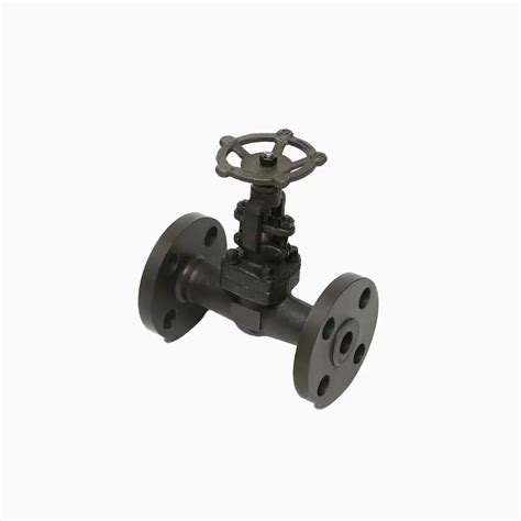 Straight Pattern Globe Valve Tianyu Valve