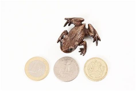Toadlet Bronze Open Edition Etsy Uk Bronze Small Ts Etsy