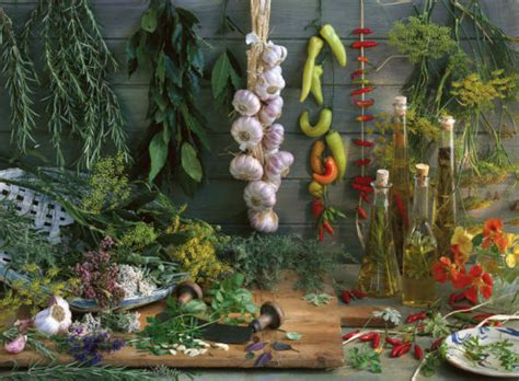 사이언스타임즈