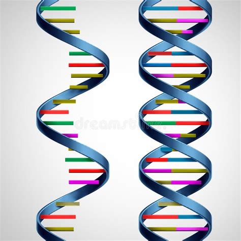 Rna And Dna Stock Illustration Illustration Of Helix 311472251