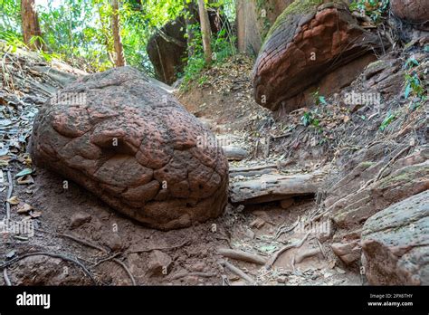 Naka Cave Giant Snake Scale Stone In The Phu Langka National Park
