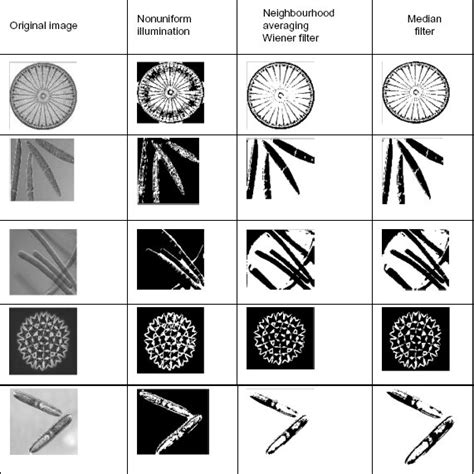 Pre Processed Images By Various Filters Download Scientific Diagram