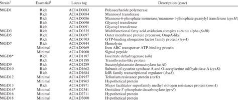 Putative Essential Genes Removed In Multiple Gene Deletion Adp1 Strains Download Scientific