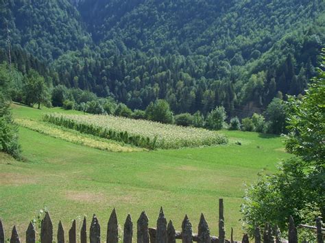 Science დედა ბუნება