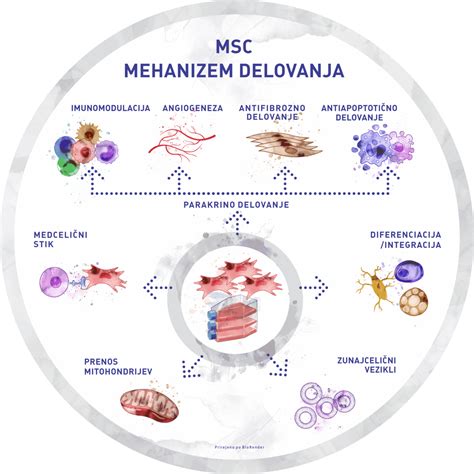 Stem Cell Therapy Crystalmc