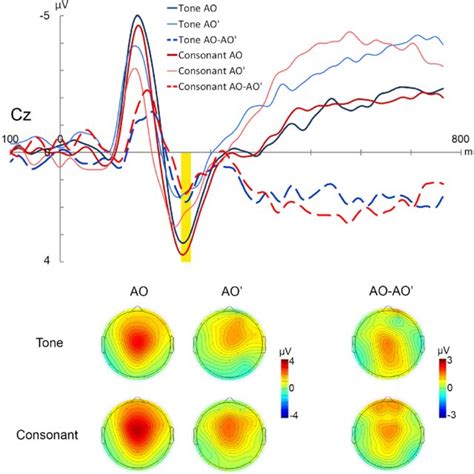 Erp Waveforms Showing The Auditory N1 Component Maximal Over C3 Download Scientific Diagram