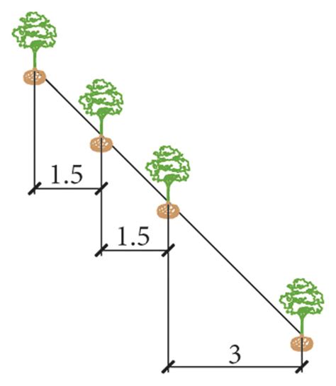 Schematic Diagram Of The Tree Planting Pattern Unit M Download Scientific Diagram