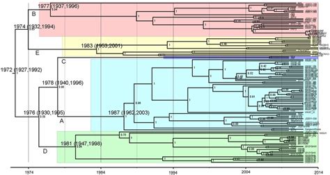 Time Scaled Bayesian Mcc Phylogenetic Tree Based On Concatenated Sftsv