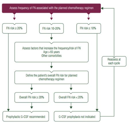 Neutropenic Fever Febrile Neutropenia Quizlet