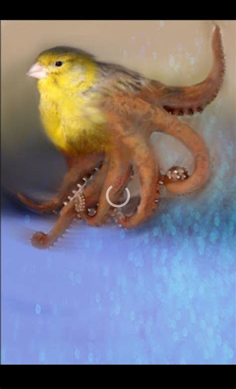 By Sigrid Animals Bird In This Moment