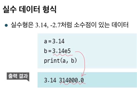 파이썬 실수 데이터 형식 지식in