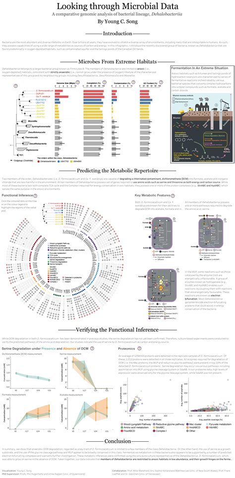 Looking Through Microbial Data — Information Is Beautiful Awards