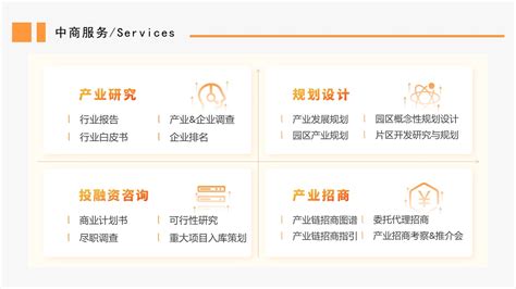 2024年5月中国手机市场月度运行报告（完整版） 中商情报网