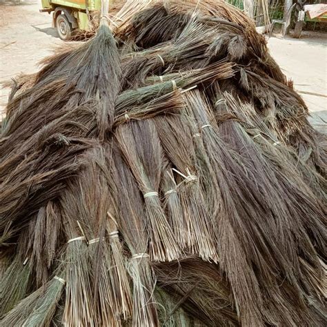 Green Broom Grass Raw Material Size Long Stick At ₹ 122kg In Pune