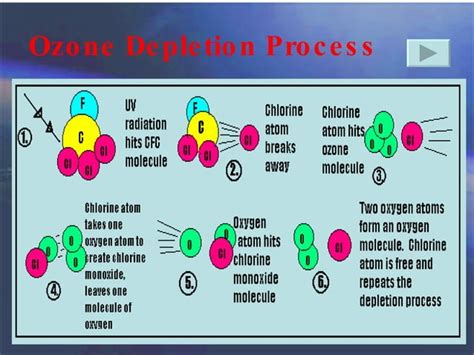 Ozone Layer And Carbon Cycle Ppt