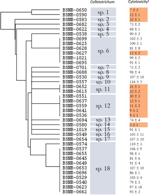 Evaluation Of The Correlation Between Mass Spectrometry Profile Download Scientific Diagram
