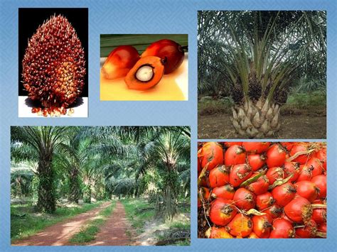 Input Output Pada Data Dan Metode Iterasipptx Free Download