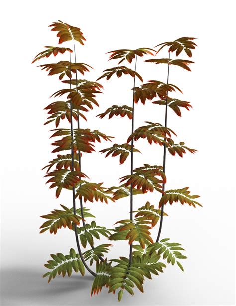 Prairie Shrubs And Trees Sumac Daz 3d