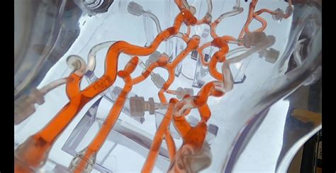 Mimar Camera Training Object Detection Dataset By Yolov5mimar