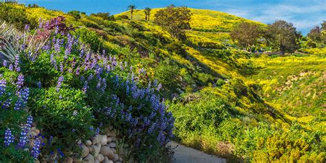 10 Best Things To Do In Ventura California