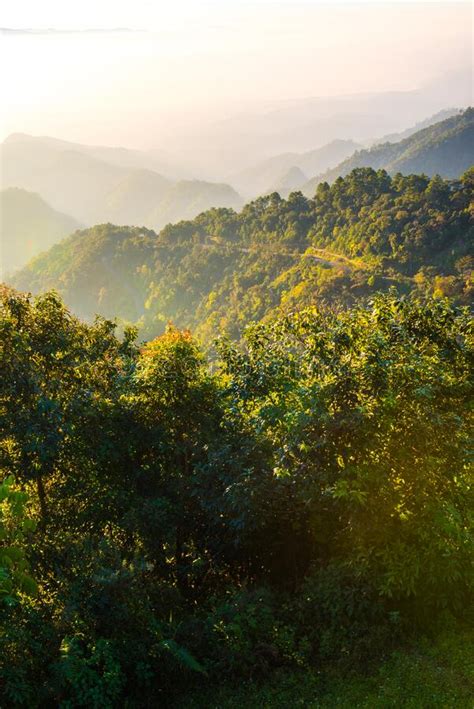 Sunrise At Mon Sone View Point Stock Image Image Of Fresh Rural