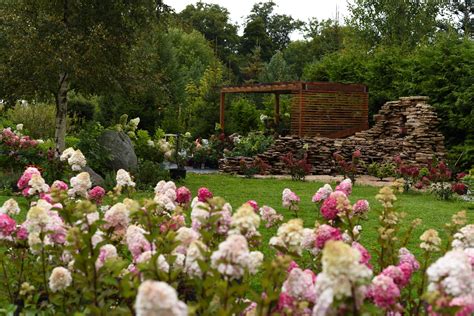 Българска асоциация на естетичните дерматолози д р Росица Денчева д м член на УС Завършва