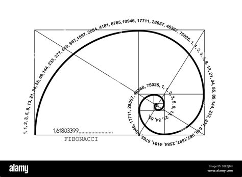 Fibonacci Sequence Spiral Golden Ratio Geometric Shapes Circles In Golden Proportion