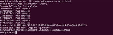 run commands in a docker container with docker exec and ssh 4sysops