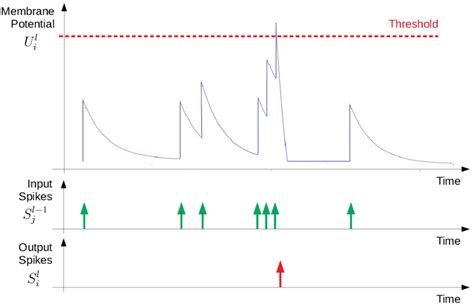 2 Illustration Of The Leaky Integrate And Fire Neuron Process The Download Scientific Diagram