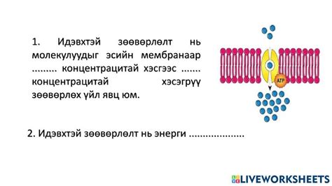 Идэвхтэй зөөвөрлөлт Online Exercise For Live Worksheets