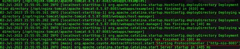 linux安装tomcat详细教程（图文教程）