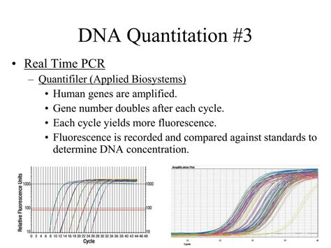 Ppt Dna Methodologies Powerpoint Presentation Free Download Id5623671