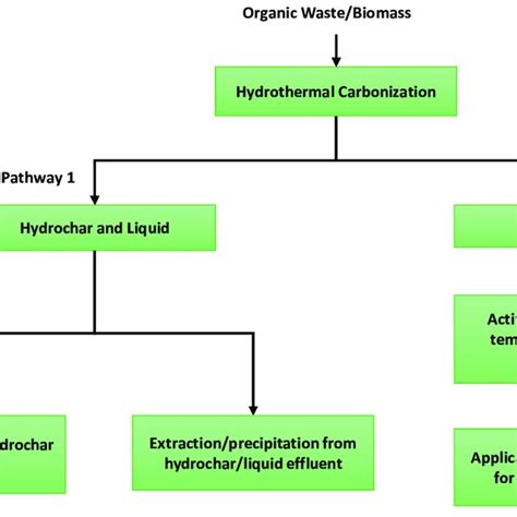 Pathways Of Nutrient Recovery From Hydrochar While Both The Methods