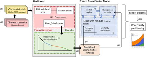 Illustration Of The Coupling Framework From Left To Right Simulation Download Scientific