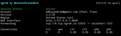 Back Connect Shell Menggunakan Ngrok Di Termux Parkerzanta Blog