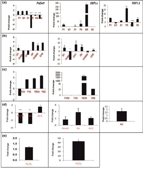 transcript levels of scots pine psdef1 compared with the transcript
