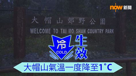 警新界北打擊三合會拘130人 Now 新聞
