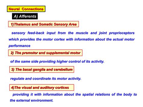 Pyramidal Extrapyramidal Pathways Ppt