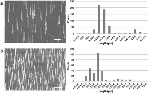 gap nanowire characterization before transfer a sem image and length