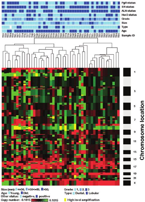 unsupervised hierarchical clustering of genome copy number profiles