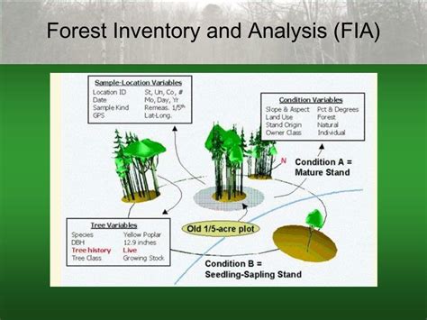 Ppt Forest Health Monitoring Powerpoint Presentation Free Download