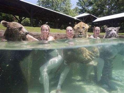 Even More Funny Swimming Pool Fail Pics Grand Vista Pools