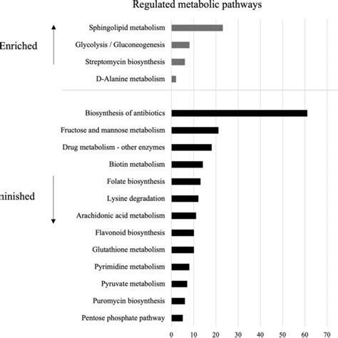 Regulated Metabolic Pathways The Graph Illustrates The Most