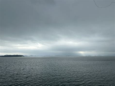 인기있는 눈물주머니염은 무엇인가요 통계