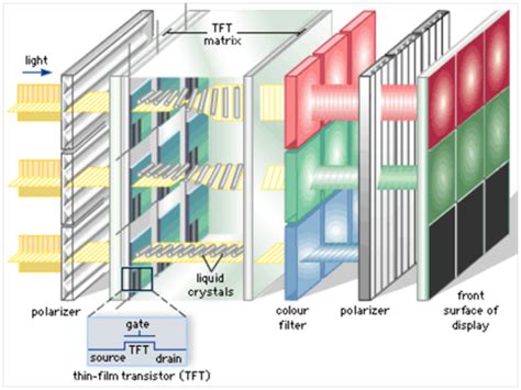 POLED Vs IPS The Differences In Display Tech Explained