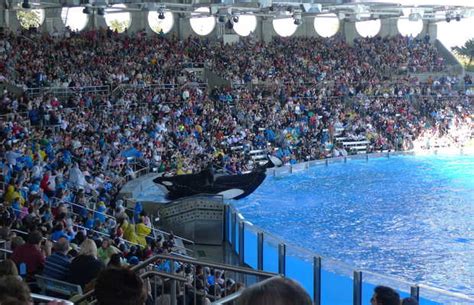 Shamu Stadium In Orlando 1 Reviews And 8 Photos