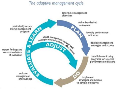 Adaptive Management Cycle Model Download Scientific Diagram