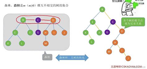 王道数据结构第五章：树与二叉树王道树与二叉树 Csdn博客