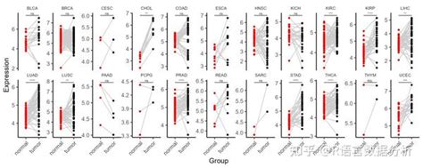 Ggplot2ggpubr包:绘制配对箱线图、配对小提琴图和配对点图 知乎 Ggplot2ggpubr包:绘制配对箱线图、配对小提琴图和配对点图 知乎